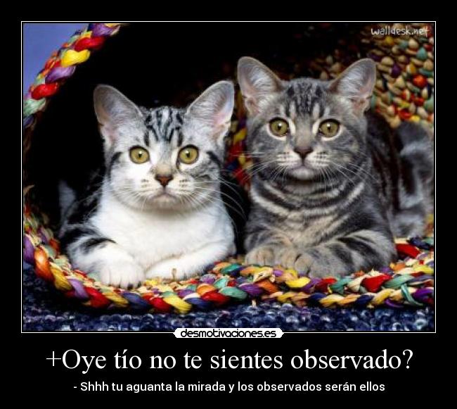 Imágenes y Carteles de CALLA Pag. 12 | Desmotivaciones